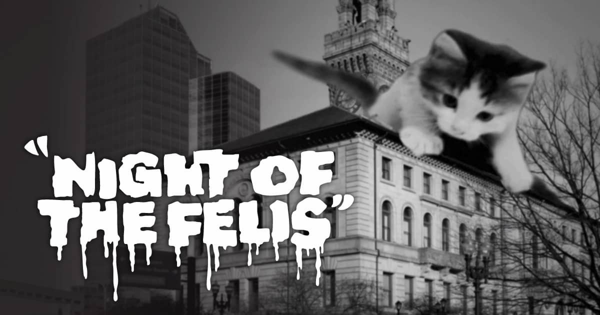 Night of the Felis on Nestflix