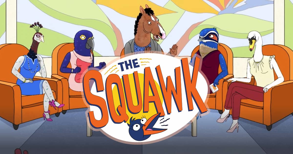 The Squawk on Nestflix